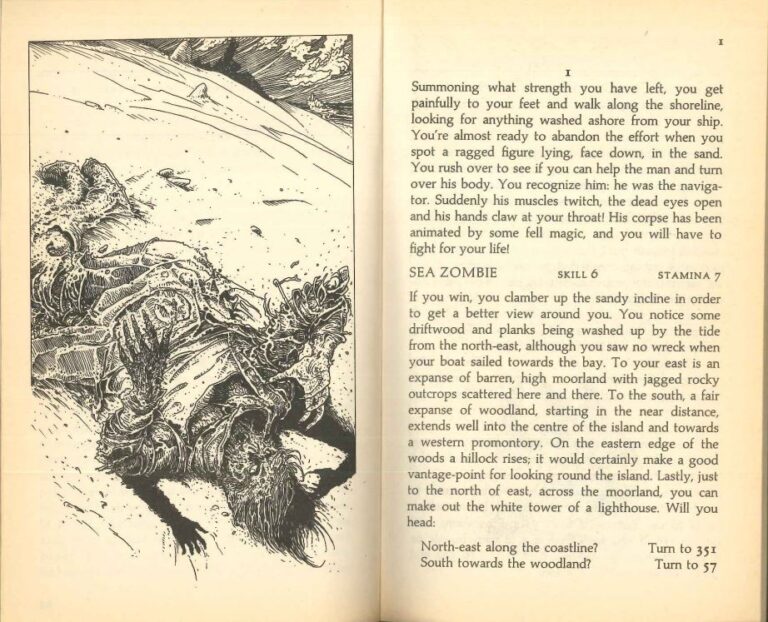 Studying Gamebooks: A Framework for Analysis | Analog Game Studies